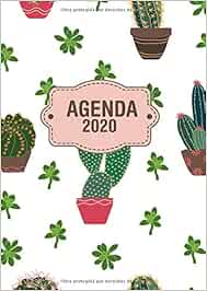 Agenda 2020: Tema Cactus Agenda Mensual y Semanal + Organizador Diario ...
