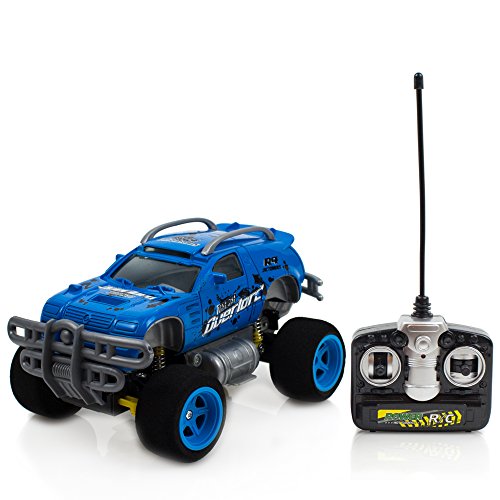 Compare price to remote control nascar race car | TragerLaw.biz