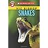 Amazon.com: Nic Bishop: Snakes (9780545206389): Nic Bishop: Books