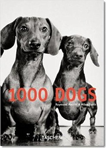 Amazon.com: 1000 Dogs: 9783822819739: Merritt, R, Barth, M: Books