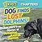 Amazon.com: National Geographic Kids Chapters: Dog Finds Lost Dolphins ...