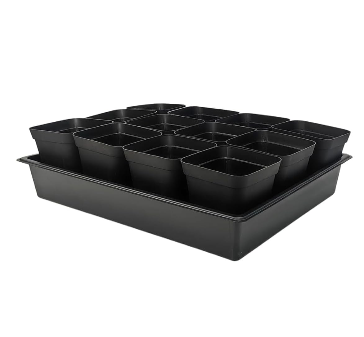 RooTrimmer 3.5 inch (9CM) Square Nursery Pots 60pcs, Sturdy Seedlings ...