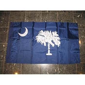 Amazon.com : 2.5 X 4 Ft Embroidered Sewn South Carolina State Nylon ...