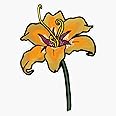 Amazon.com - ) Magic Golden Flower (Tangled) Vinyl Waterproof Sticker ...