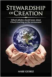 Stewardship of Creation: What Catholics Should Know About Church ...