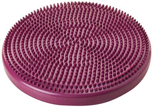 Fitpaws Balance Disc for Dogs 14 Inches Violet. - Find the best dog ...