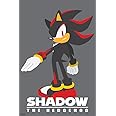 Amazon.com: Pyramid America Sonic The Hedgehog Shadow Sega Video Game ...