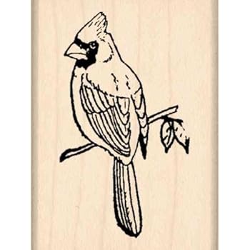 Amazon.com: Cardinal Bird on Branch - Beautiful Rubber Stamp: Arts ...