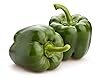 California Wonder 300 TMR Bell Pepper Seeds for Planting, 100+ Heirloom ...