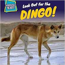 Look Out for the Dingo! (Surprisingly Scary!): Amy Austen ...