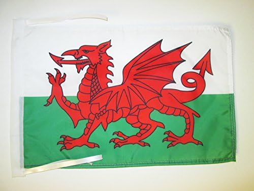 AZ FLAG Wales Flag 18'' x 12'' cords - Welsh SMALL flags 30 x 45cm ...