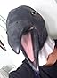 Amazon.com: PartyHop - Penguin Mask - Halloween Latex Animal Full Head ...