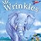 Mr. Wrinkles: Amazon.co.uk: 9781906606244: Books