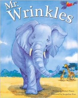 Mr. Wrinkles: 9781906606244: Amazon.com: Books