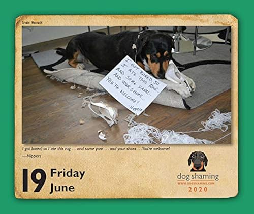 Dog Shaming Calendar