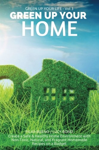 Green up your Home: Create a Safe & Healthy Home Environment with Non ...