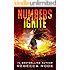 Amazon.com: Numbers Game (Numbers Game Saga Book 1) eBook: Rebecca Rode ...