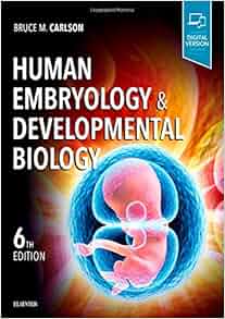 Human Embryology and Developmental Biology: 9780323523752: Medicine ...