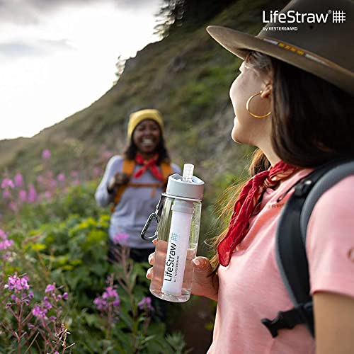 Lifestraw Go Botella de filtro de agua con paja de filtro integrado de ...