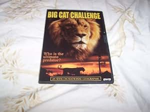 Amazon.com: Big Cat Challenge: Movies & TV