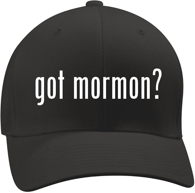 got Mormon? - A Nice Men's Adult Baseball Hat Cap at Amazon Men’s ...