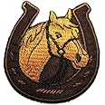 Amazon.com: Graphic Dust Horse Equestrian Horseshoe Embroidered Iron on ...