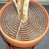 Safetots Plant Pot Soil Guard White: Amazon.co.uk: Baby