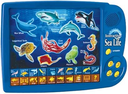 Amazon.com: Interactive Sea-Life Lab With Sharks and much more: Toys ...