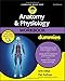 Anatomy and Physiology Workbook For Dummies: 9781118940075: Medicine ...