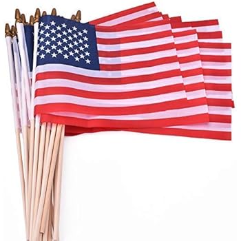 Amazon.com : PETDUDE Small American Flags 5x8 Inch/Small US Flags/Mini ...