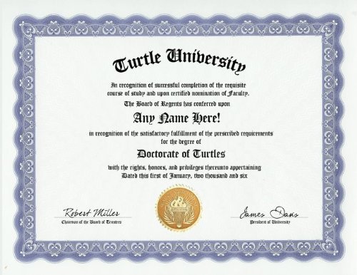 Amazon.com: Turtle Degree: Custom Gag Diploma Doctorate Certificate ...