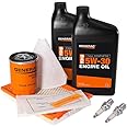 Amazon.com : Generac Generator 14kW - 17kW SM Maintenance Kit ...