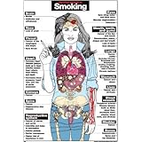 Amazon.com: Harmful Effects of Smoking 24" X 36" Laminated Poster ...