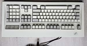 Amazon.com: IBM Keyboard Model M 1391401: Computers & Accessories