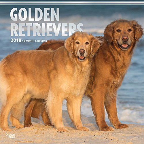 Regulate Collate Book: Télécharger Golden Retrievers 2018 12 x 12 Inch ...