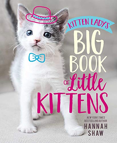 Kitten Lady's Big Book of Little Kittens: Shaw, Hannah, Shaw, Hannah ...