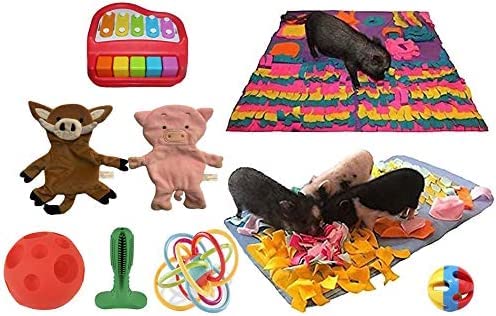 Piggy Poo and Crew Pig Box - $130 Value - Two Rooting Mats, Peanut ...