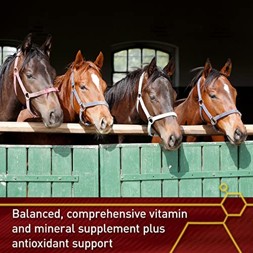 Vita Flex Pro Accel Lifetime Health & Wellness Formula for Horses, 5 ...