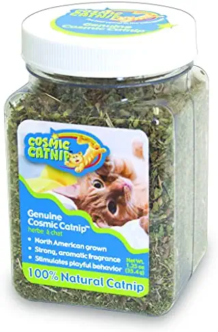قیمت و خرید Our Pets Cosmic Catnip, 100% Premium North-American Grown Catnip (Maximum Potency ...