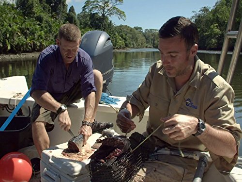 Watch Shark Week Season 2016 | Prime Video