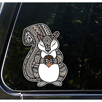 Amazon.com: Squirrel - Patterned Squirrel Holding Acorn - Vinyl Car ...
