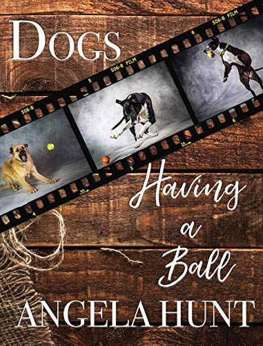 Amazon.com: Dogs Having a Ball (9781732199040): Hunt, Angela, Hunt ...