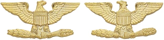 Amazon.com: COLONEL EAGLE GOLD UNIFORM COLLAR BRASS PINS INSIGNIA ...