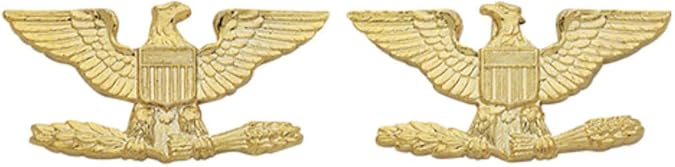 Amazon.com: COLONEL EAGLE GOLD UNIFORM COLLAR BRASS PINS INSIGNIA ...