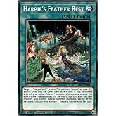 Amazon.com: Harpie's Pet Dragon (Green) - LDS2-EN066 - Ultra Rare - 1st Edition : Toys & Games