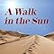 A Walk in the Sun: Philip S. Callahan: 9780911311136: Amazon.com: Books