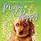 Amazon.com: Star of the Show #4 (Magic Puppy) (9780448450476): Sue ...