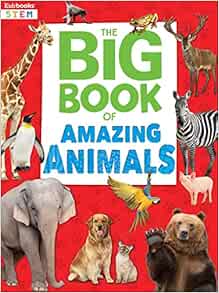The Big Book of Amazing Animals-Fun Facts plus Awesome Activities ...