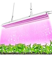 Monios-L Grow Light, LED Plant Light for Indoor Plants, Full Spectrum ...