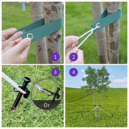 Heavy Duty Steel Tree Stake Kits,Tree Staking and Supports Kits for ...